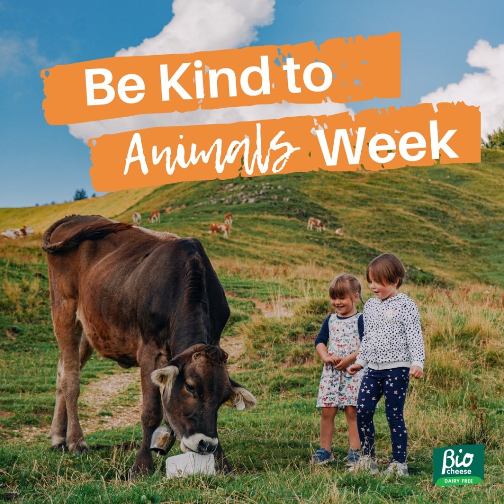 BioCheese drop even more products into Woolworths - Let's Go Vegan!