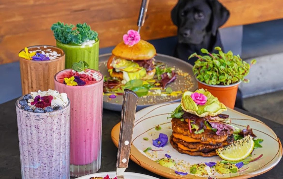 Best Vegan in Queensland as voted by our Community - Let's Go Vegan!