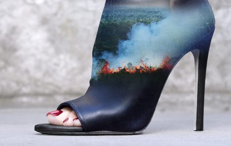 The Australian Vegan and Plant Based Community Platform